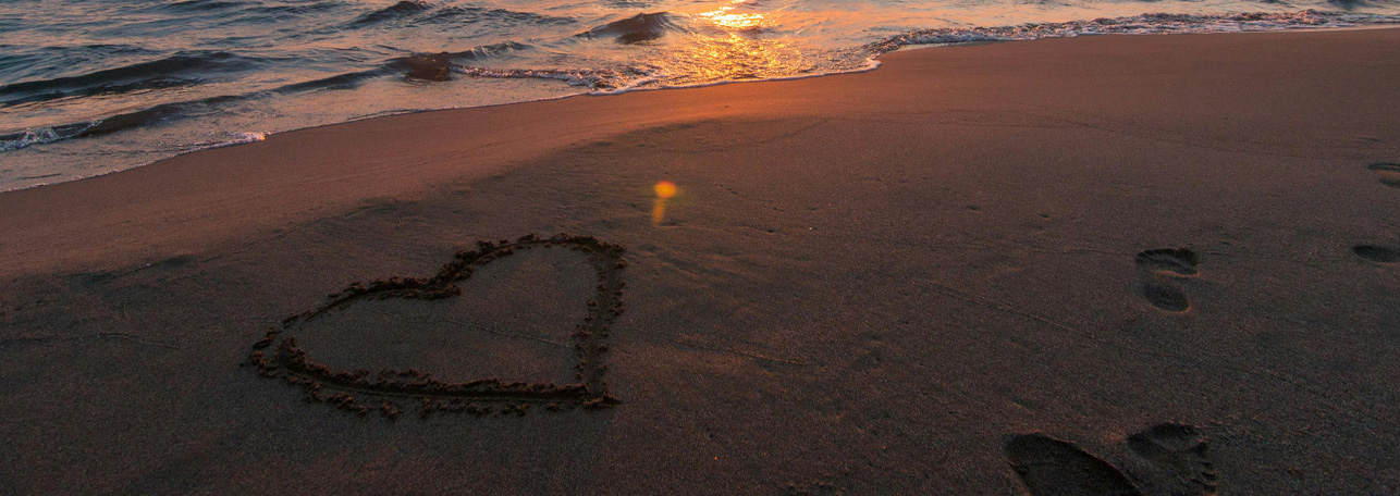 Training doorbreek traumabinding - Codependentie Experts